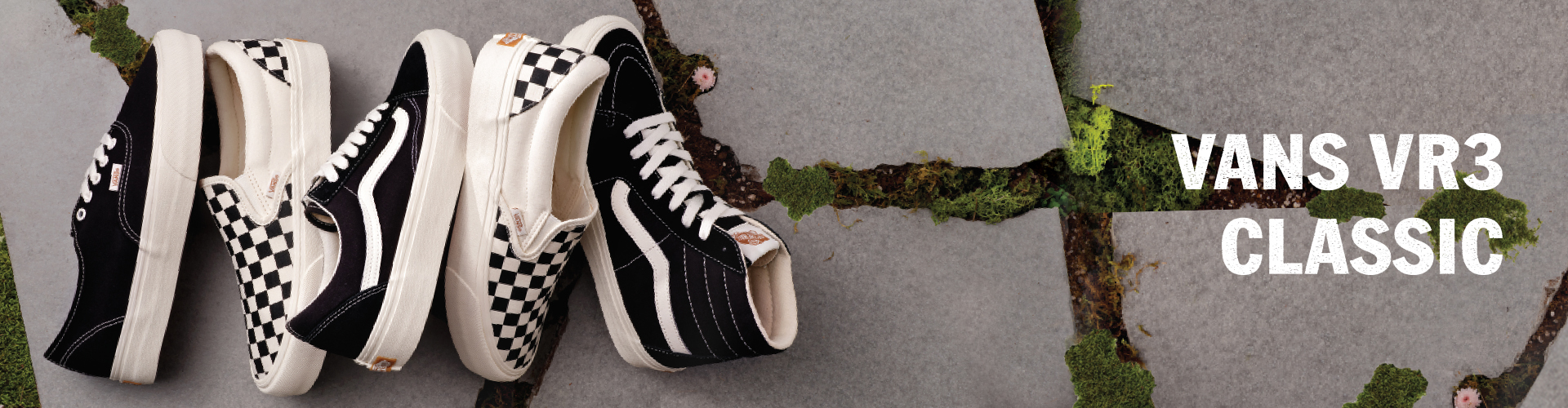 VR3 - VANS